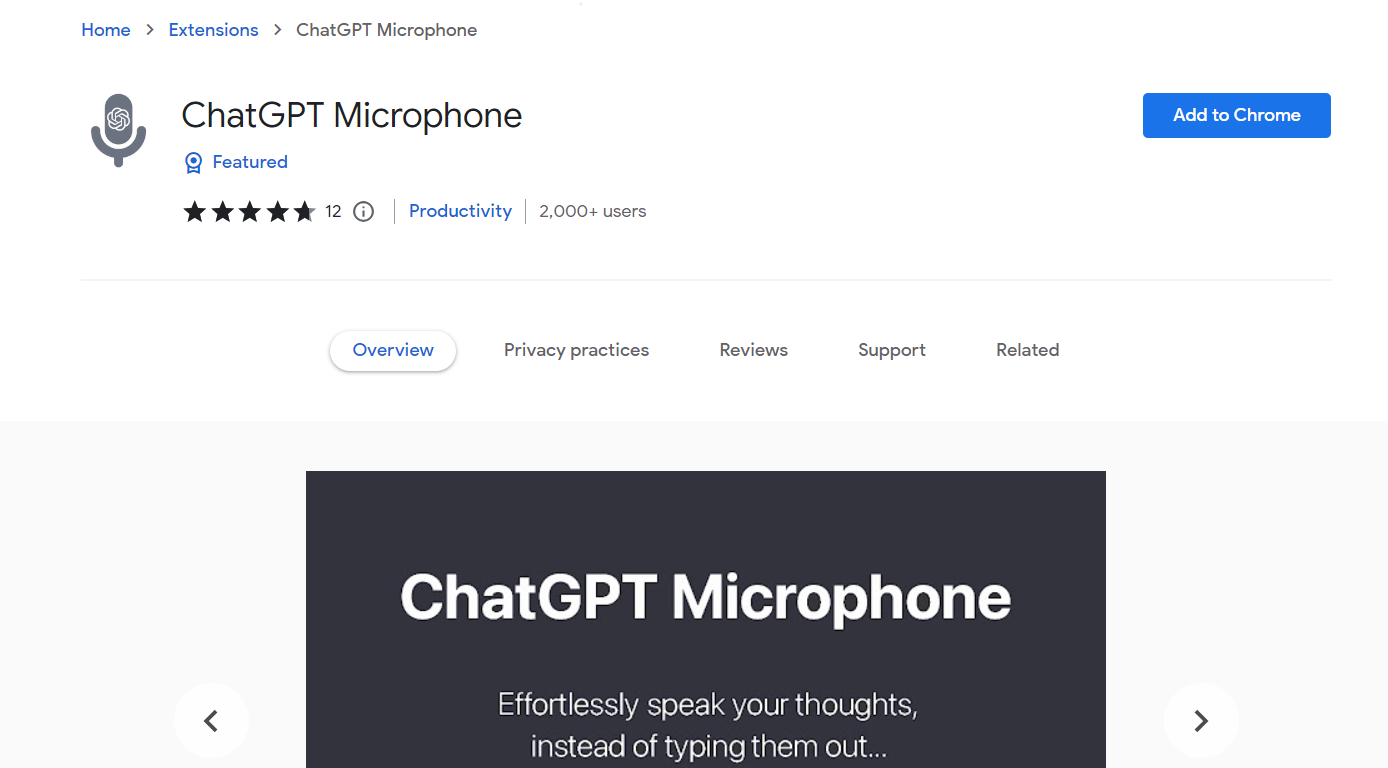Chatgpt Microphone