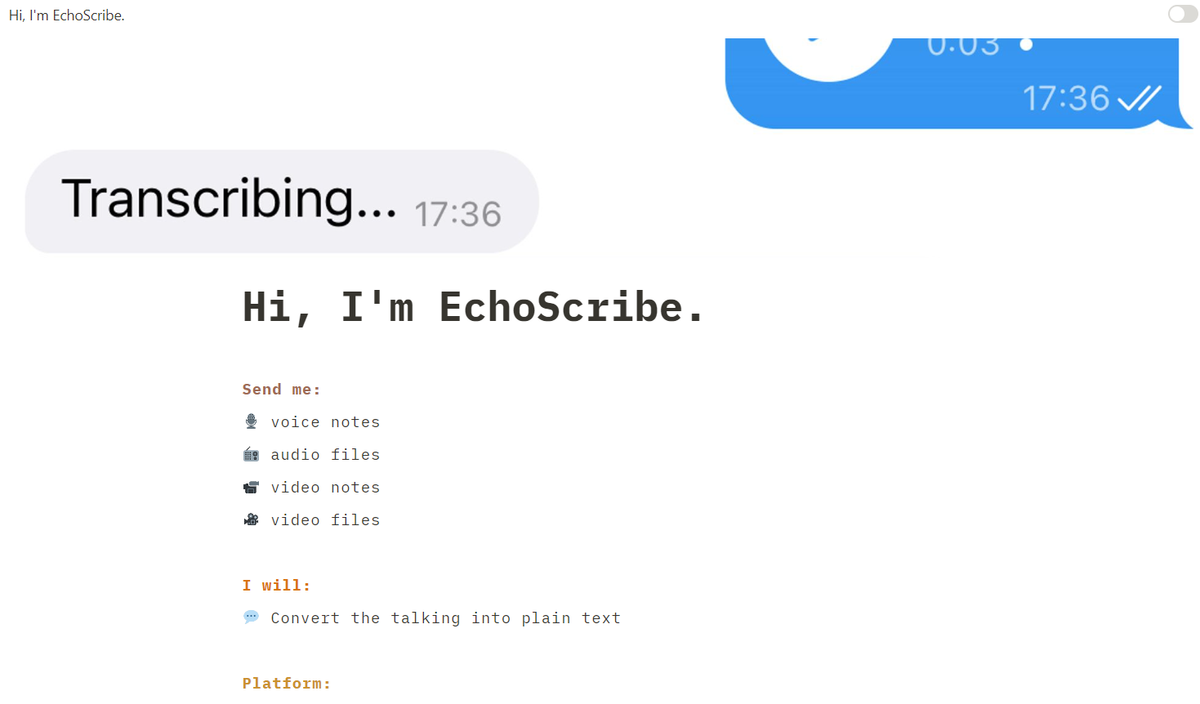 EchoScribe