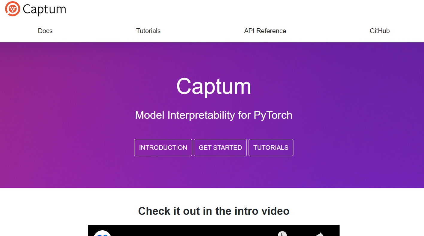 Captum · Model Interpretability for PyTorch