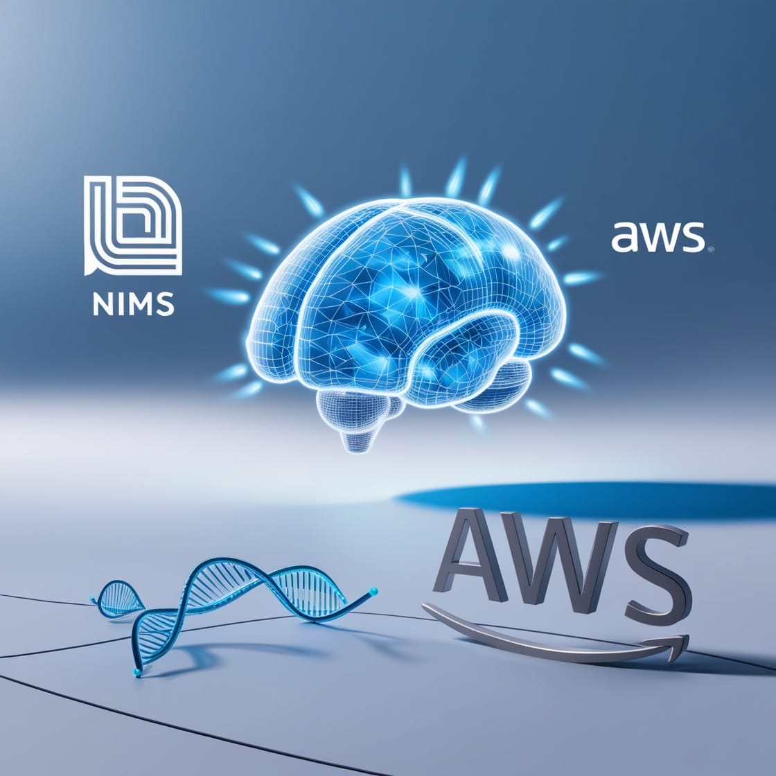 Revolutionizing Medical Imaging: How NVIDIA, NIMS, and AWS Are ...